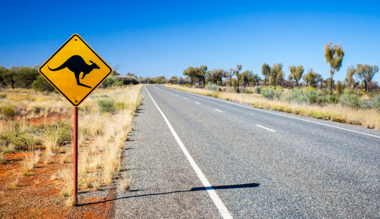 Common Road Hazards in Australia and How to Avoid Them